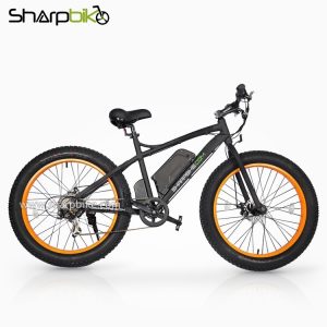 ELECTRIC BIKES – Sharpbike